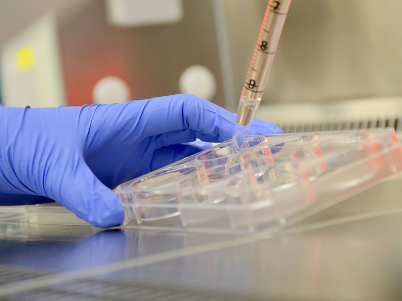 Biomedical Science Course With BSc Hons Degree RGU University Biomedical Science Course With BSc Hons Degree RGU University