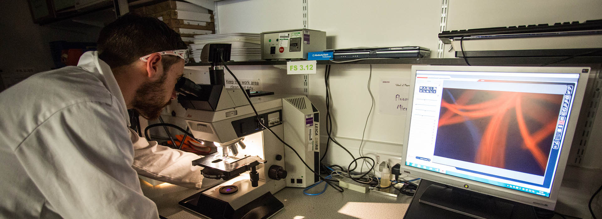 Case studies within animal research | RGU