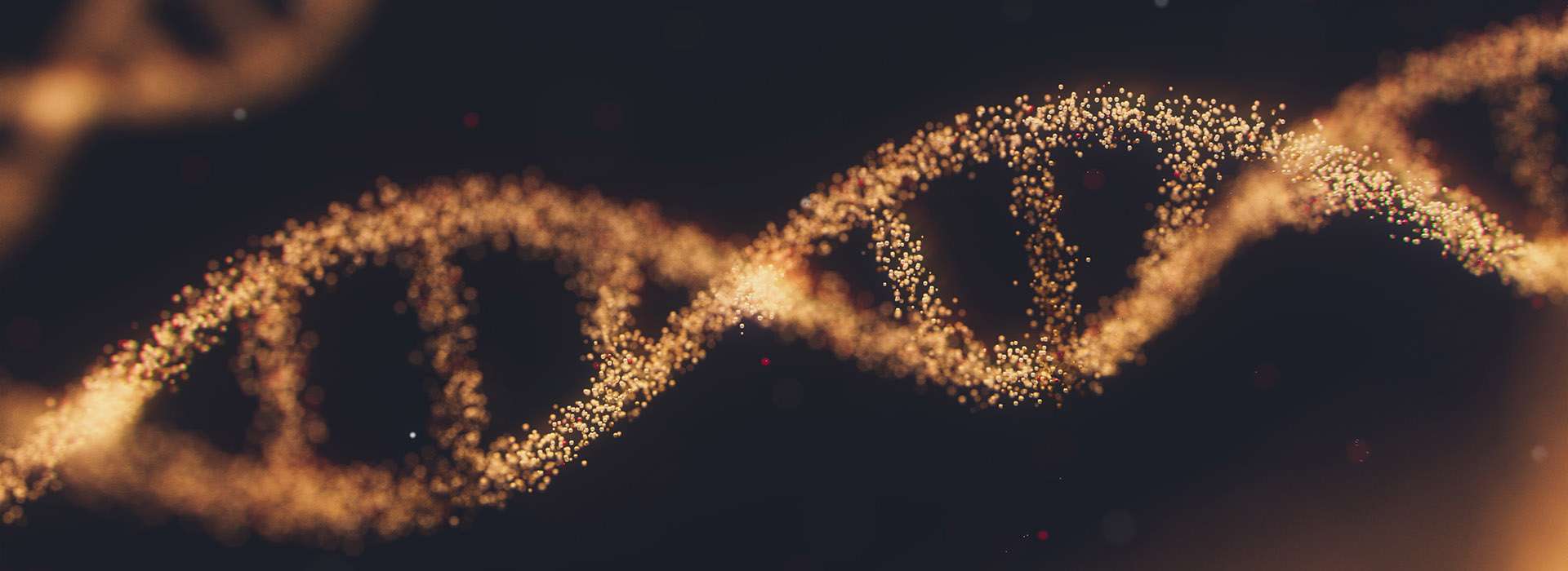 Genetically Modified Organisms | Policies, Procedures & Guidance | RGU