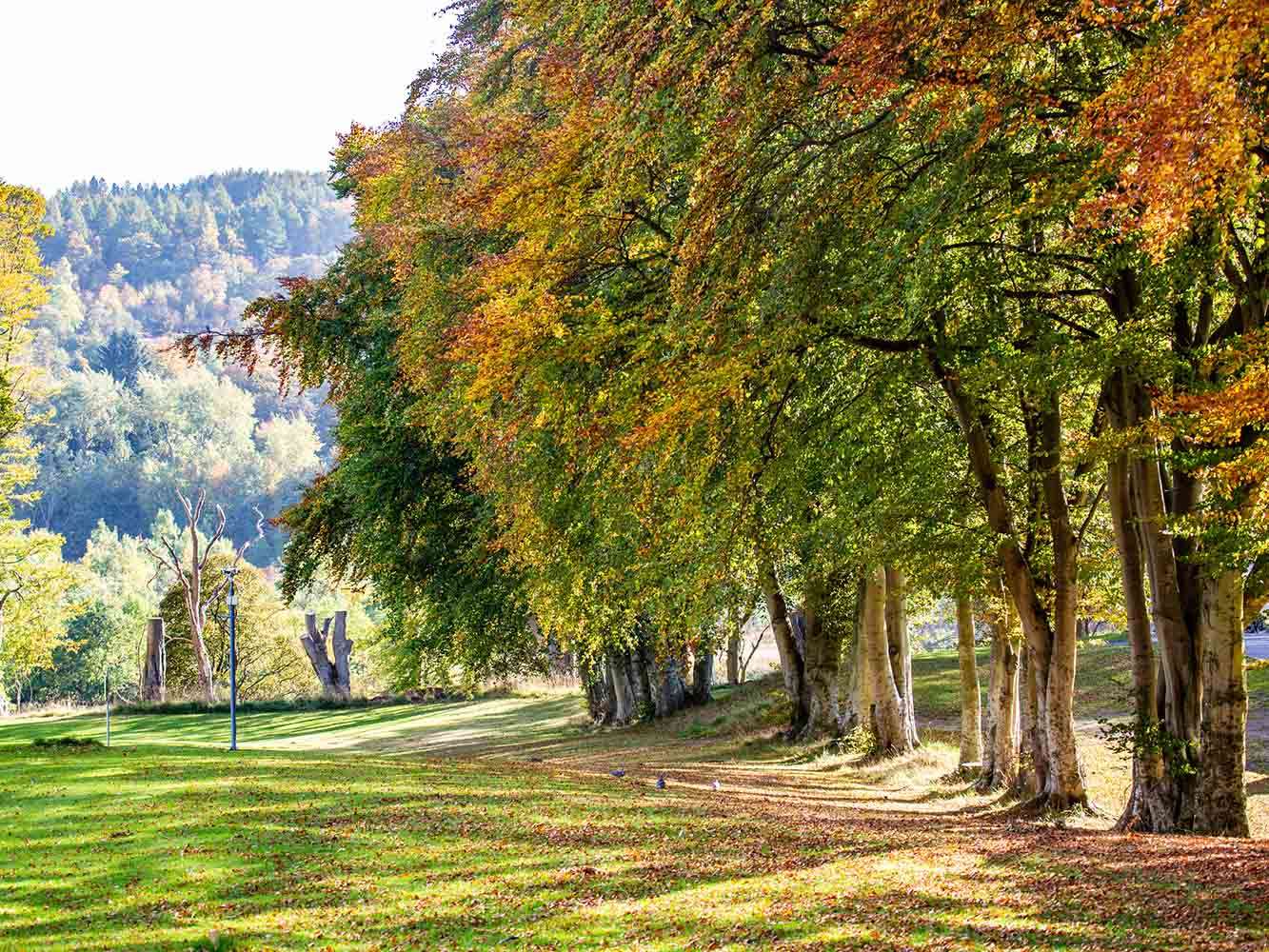 Our Nature Positive Campus | RGU