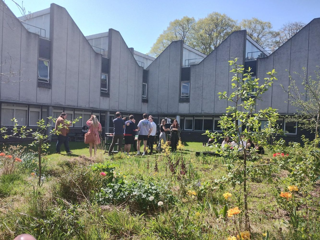 A Blooming Success: Our Garden in the Quad Brings People and Wildlife ...